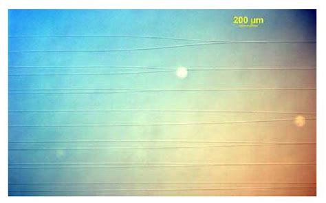 Figure 1 From Direct Writing Of Planar Lightwave Devices Using Ultrafast Lasers Semantic Scholar