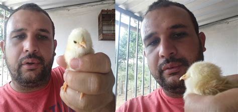 Mundo Novo BA Pinto nasce só um olho no município Boquira Em