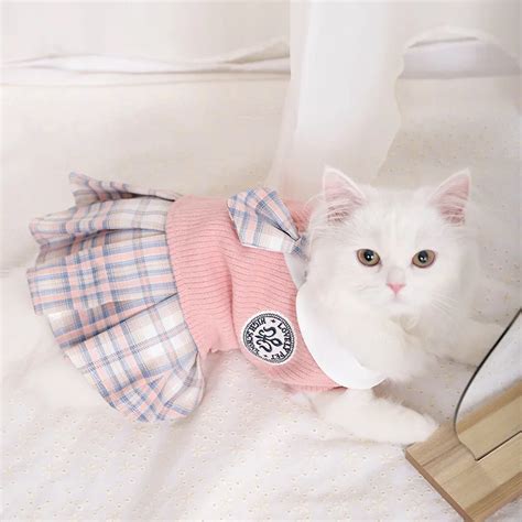 Cute Cats In Clothes