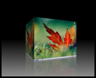 Compiz Fusion Ultimate D Environment To Work In
