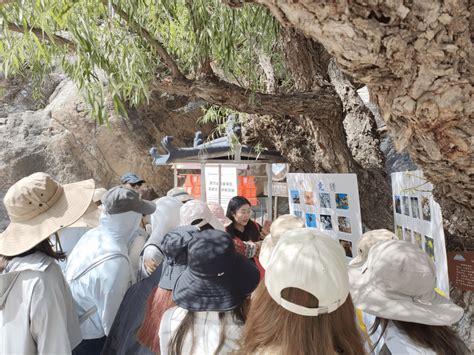 文明旅游成风尚 志愿服务入人心市民宣传游客
