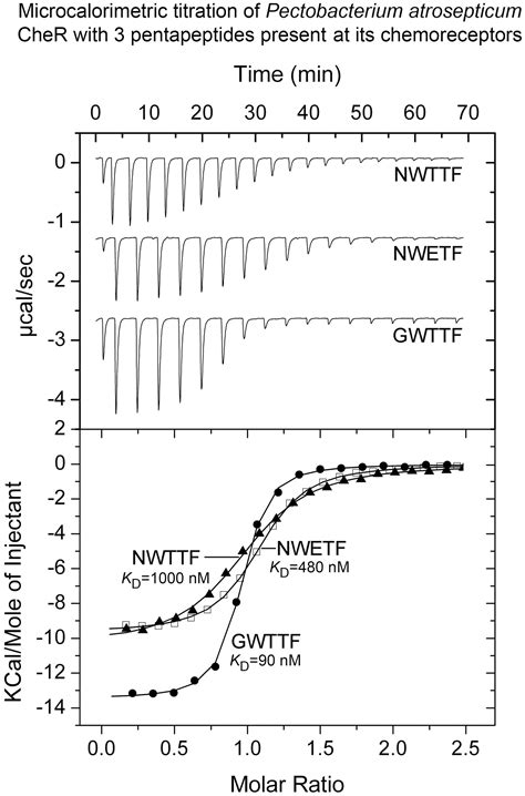 Molecular Microbiology Microbiology Journal Wiley Online Library