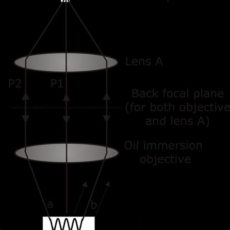 Diagram Of The Confocal Surface Plasmon Microscopy Figure Download