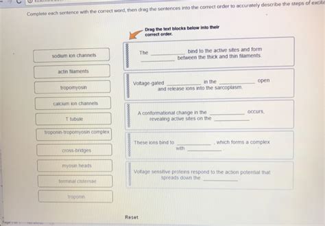 Solved Complete Each Sentence With The Correct Word Then Chegg