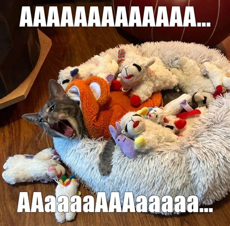 Silence Of The Aaaaaaaaaaaaaaaa1 Raaaaaaaaaaaaaaaaa