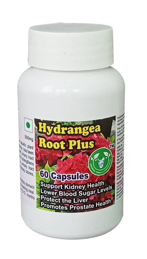 Hydrangea Root Plus Capsule 60 Capsules At ₹ 641bottle In