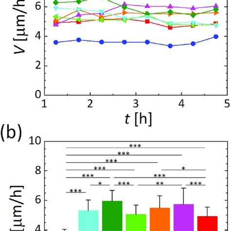 Nuclear Translocation Of Hif 1α In Huvecs After 2 H Of Exposure To