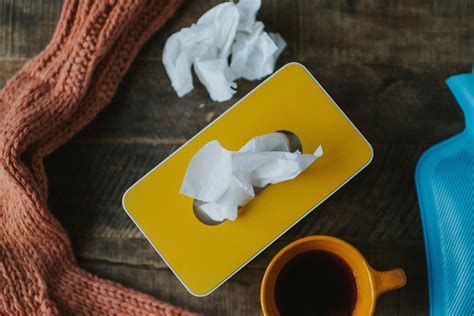 Cómo Prevenir La Gripe Ver Tips Y Remedios Caseros Cleanipedia