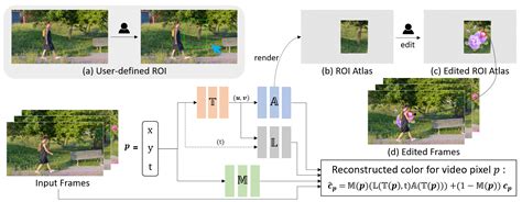 RNA Video Editing With ROI Based Neural Atlas