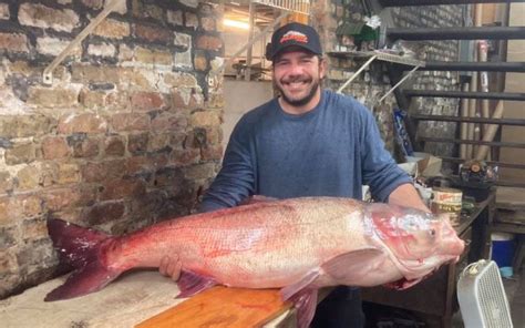 New Record Smallmouth Bass Caught In New York Outdoor Life