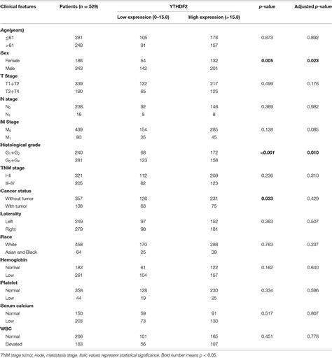 Frontiers Prognostic Value Of Ythdf2 In Clear Cell Renal Cell Carcinoma