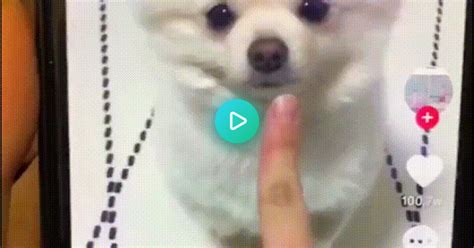 Expectation Vs Reality  On Imgur