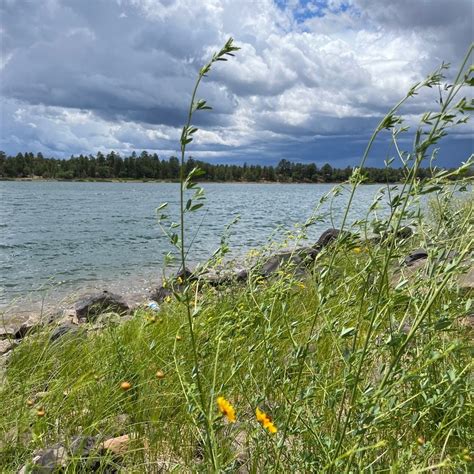 Show Low Lake Updated February 2026 5800 Show Low Lake Rd Lakeside