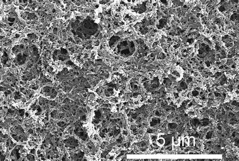 Sem Image Of Pani Nanofibers Prepared By Fecl 3 Solution Oxidation Download Scientific Diagram