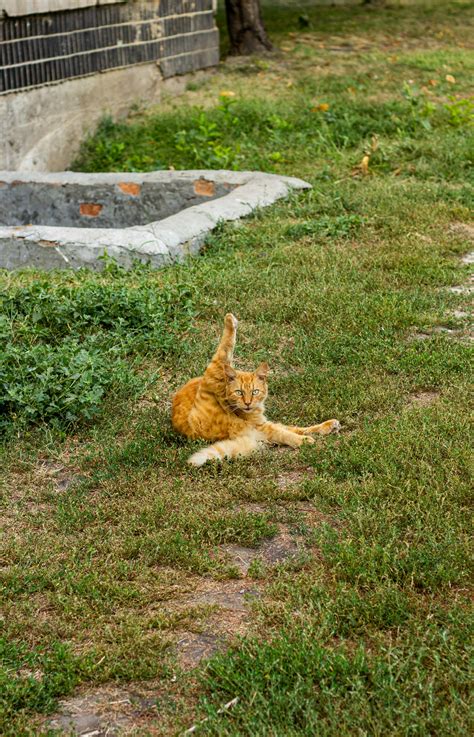 Cutegirlstelegraph Photos Download The Best Free Cutegirls