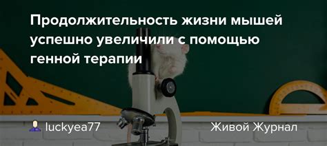 Продолжительность жизни мышей успешно увеличили с помощью генной терапии Luckyea77 — Livejournal