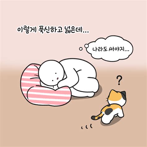 강아지 잠자리 위치 공감 비마이펫 크리에이터즈