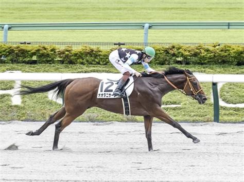 【東京3r】オオタニサーンが快勝 米三冠馬ジャスティファイの産駒 競馬ニュース Netkeiba
