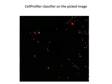 neuron detection and counting in high throughput screening images ppt