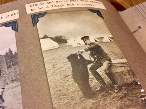 Finding Winnie The Origin Story Of The Bear That Inspired Winnie The