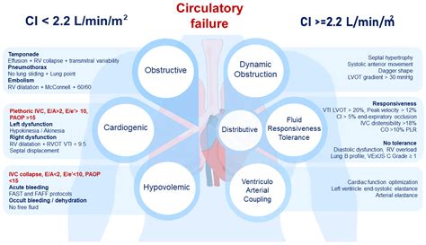 Critical Care Ultrasound In Shock A Comprehensive Review Of Ultrasound