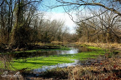 Sydney Larson Photography