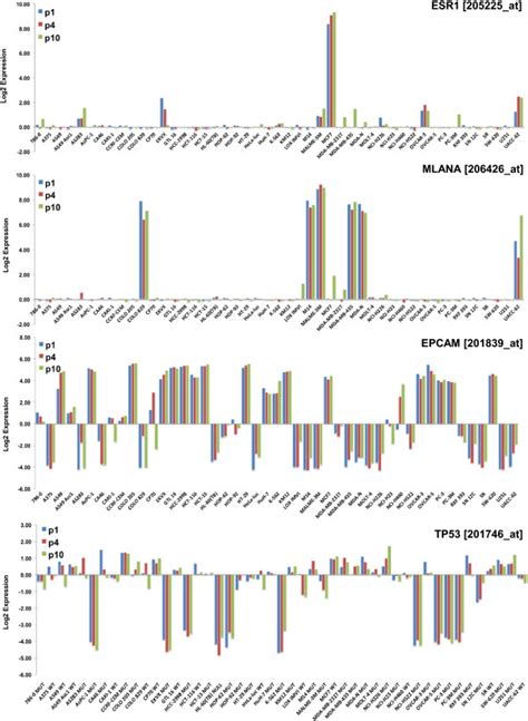 transcript expression relative to other models and with passage log2