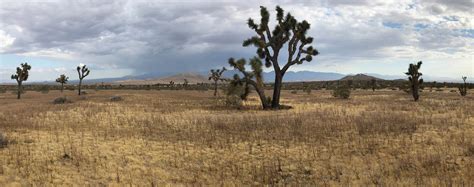 High Vista High Desert Film Locations La