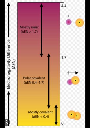 Chem Chapter 3 Flashcards Quizlet