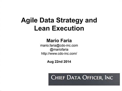 Agile Data Strategy And Lean Execution Pdf Information Services