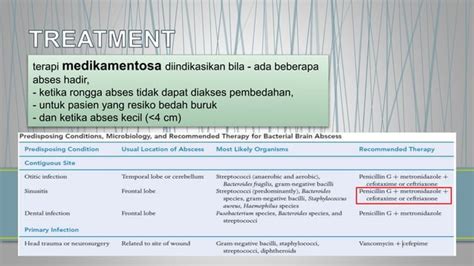 Brain Abscess Ec Sinusitis Ppt