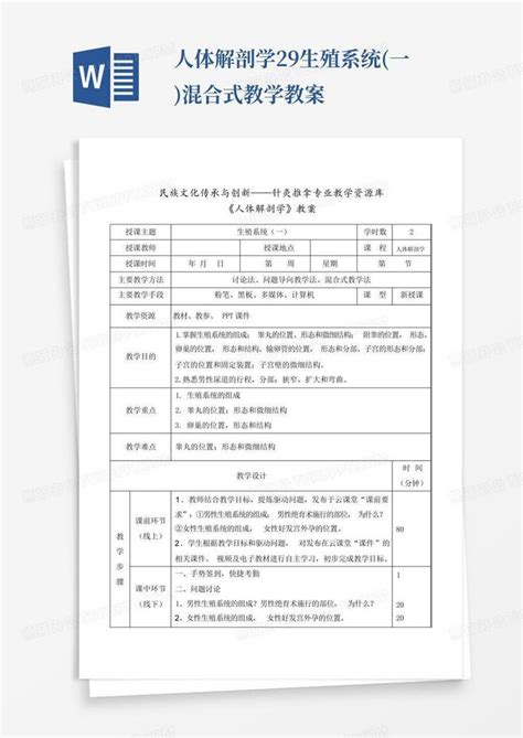 人体解剖学29生殖系统一混合式教学教案word模板下载编号qbygzbrr熊猫办公