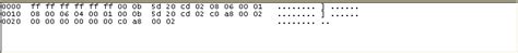 Wireshark The Packet Bytes Pane