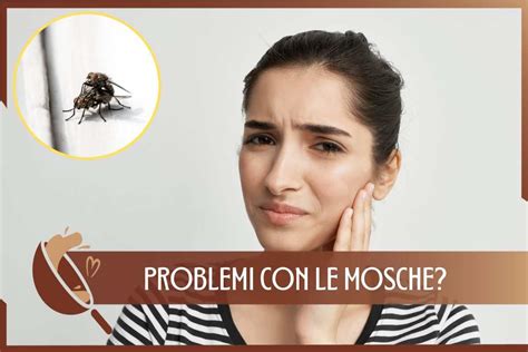 Le Mosche Ti Danno Fastidio Ecco Come Creare Uno Spray Fai Da Te In