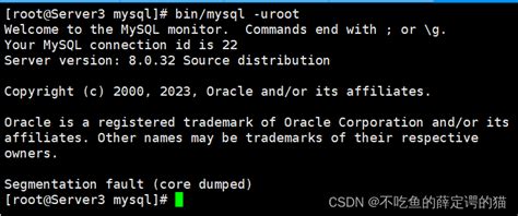 Mysql源码编译 Csdn博客