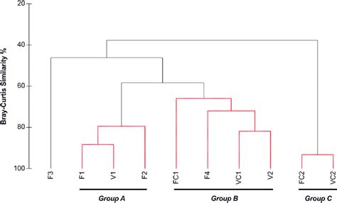 Resemblance Of Sampling Stations Demonstrated In Cluster Analysis