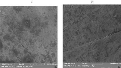 Microstructure Of The Surface Of The Titanium Hydride Fraction Heat