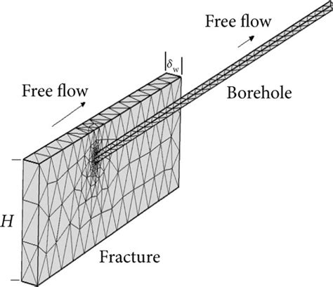 Borehole fracture flow models with a large aperture δw for free flow