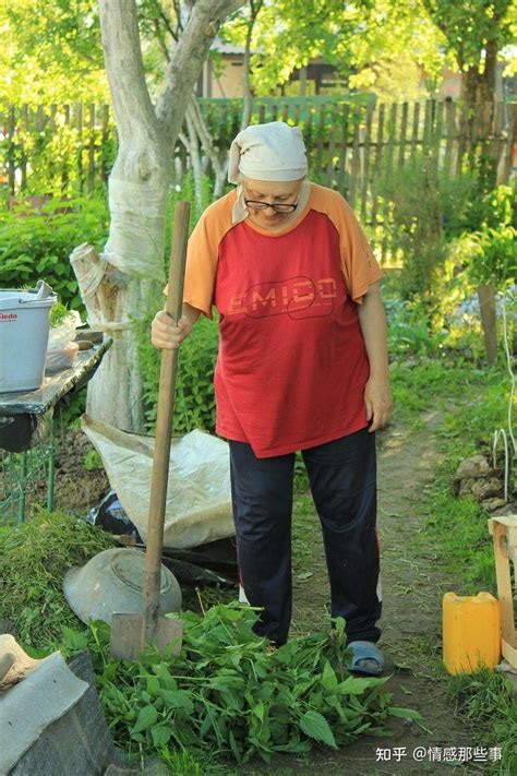 老婆去世四年，精心照顾岳父岳母，他们却提出一个无理要求，让我又惊又喜 知乎