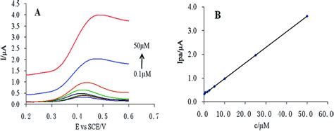 A Linear Scan Cyclic Voltammogram Of Cur At Different Concentrations Download Scientific