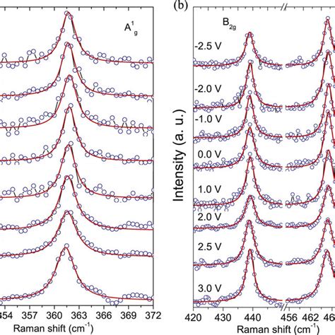 Raman Spectra Showing A A 1 G And B B2g And A 2 G Modes For
