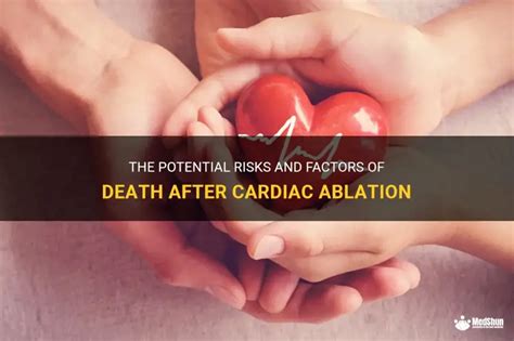 The Potential Risks And Factors Of Death After Cardiac Ablation Medshun
