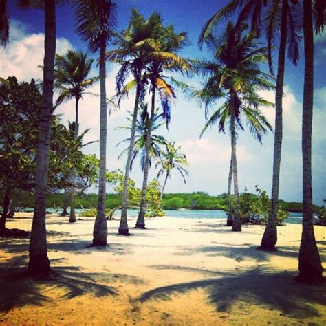Parque Nacional Morrocoy National Park In Tucacas