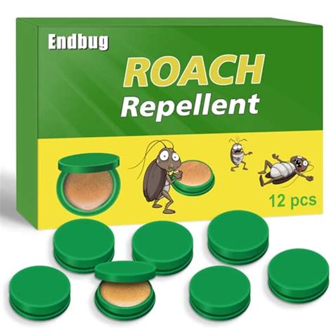 Find The Best Roach Traps For Kitchen Reviews And Comparison Katynel