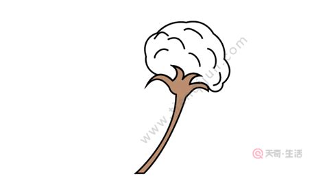 木棉花简笔画 木棉花简笔画怎么画 天奇生活