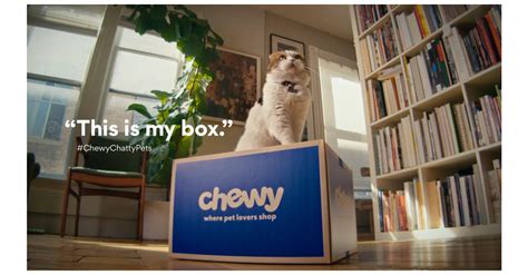 Chewy Debuts New Campaign Bringing Us Inside The Delightful Minds Of Pets Business Wire