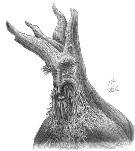 Treebeard By Tim Baker Treebeard Lotr The Hobbit Wallpaper Honey