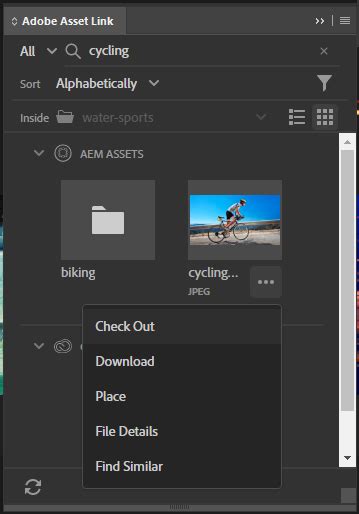 Adobe Asset Link を使用してアセットを管理する