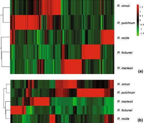 Heatmaps Visualization Of Differential Expressed Genes Degs Involved