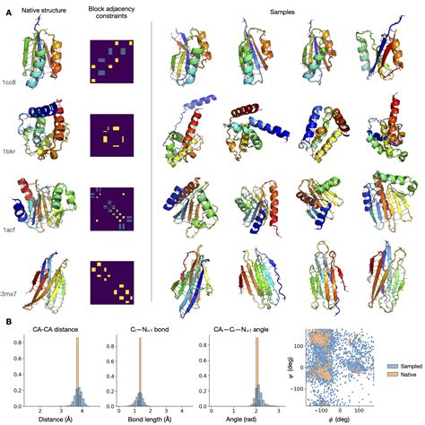 Proteindiagram Struktur